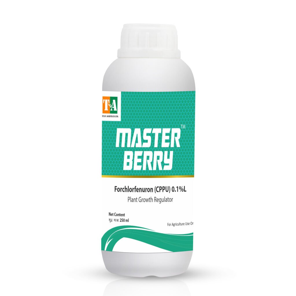 MASTER BERRY (Forchlorfenuron (CPPU) 0.1% Liquid) - titanagritech.com