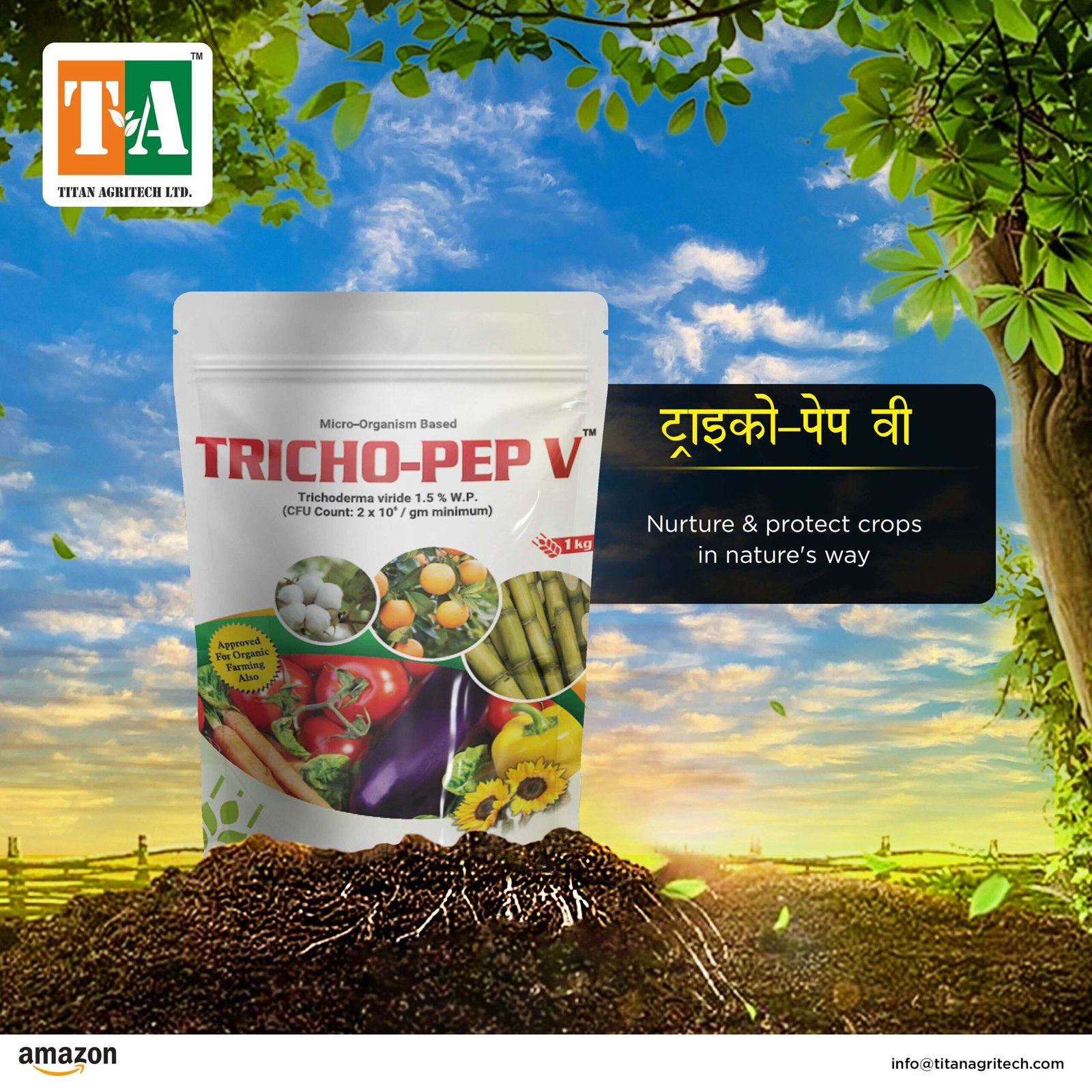 TRICHO-PEP V | 1 KG (Trichoderma viride 1.5% W.P) - titanagritech.com