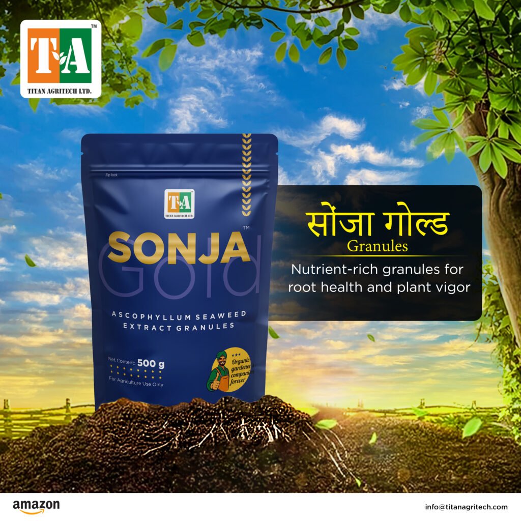SONJA Gold (Ascophyllum Seaweed Extract Granules) - titanagritech.com